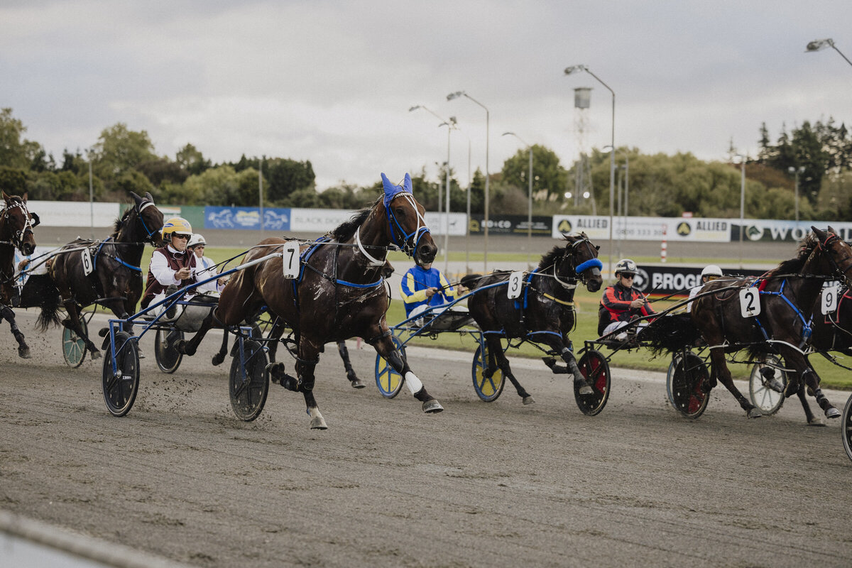 Cambridge Raceway | Function Centre & Race Track | Cambridge Raceway
