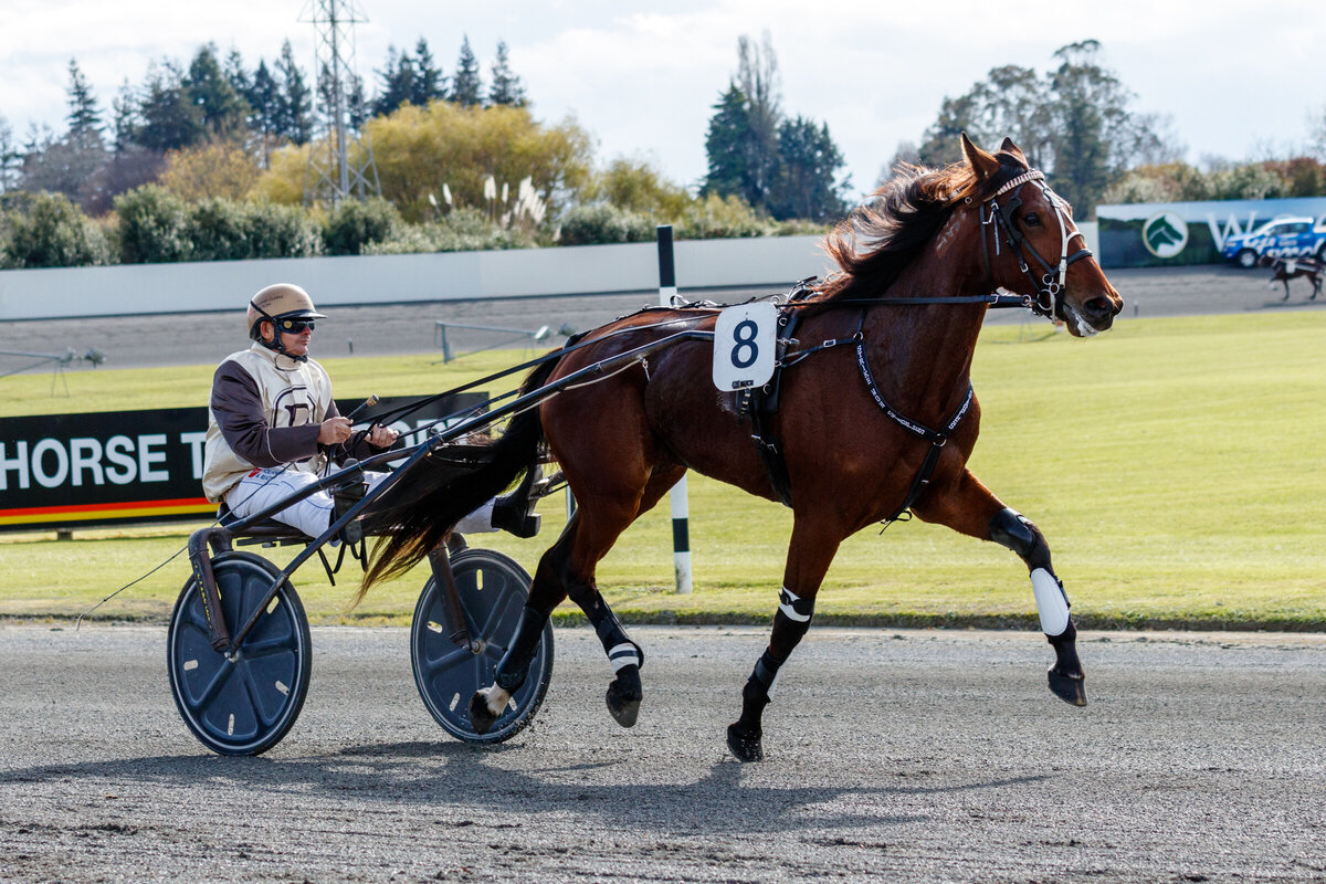 Racing Info | Cambridge Raceway