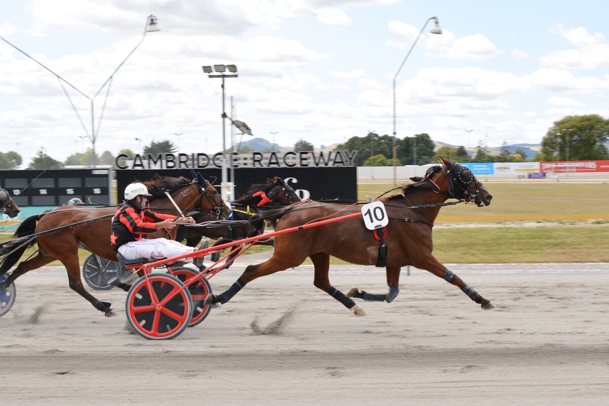 Track & Season Competitions | Cambridge Raceway