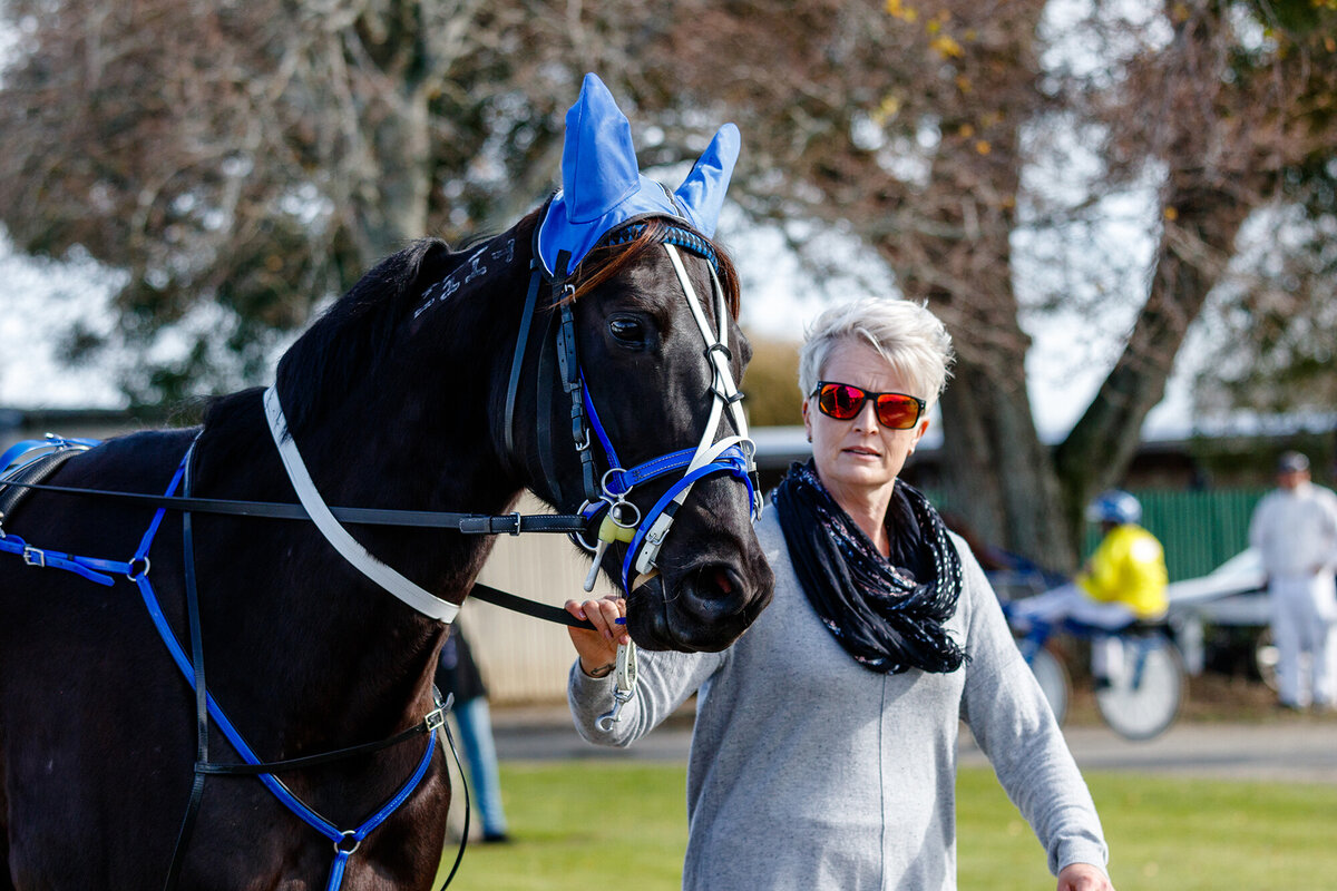 Racing Info | Cambridge Raceway
