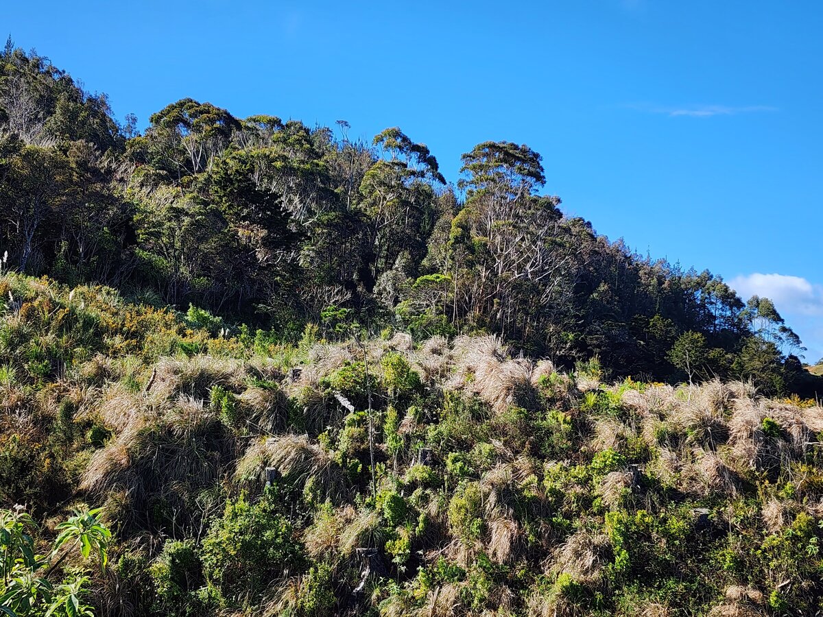The Manawatawa Project | The Jenkins Foundation