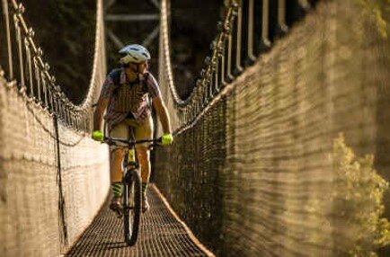 TOURISM OPERATORS SUPPORT TIMBER TRAIL AS GREAT WALK | Timber Trail NZ