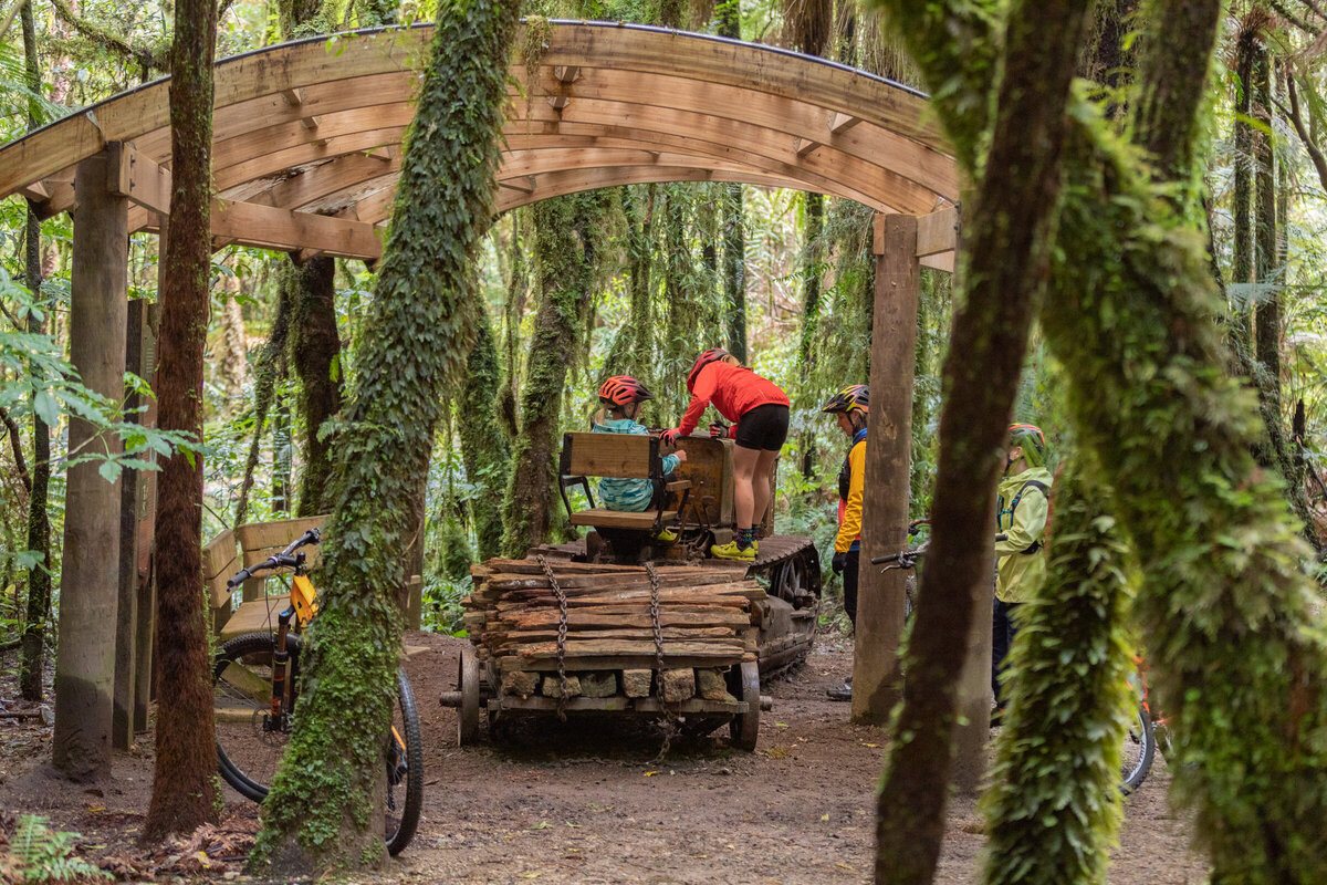 Planning tips | Maps| Info | Discover the Timber Trail NZ