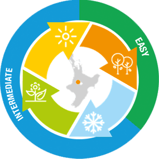 Official Trail Guide | Pureora | Timber Trail NZ