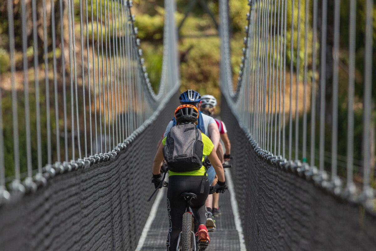 Planning tips | Maps| Info | Discover the Timber Trail NZ