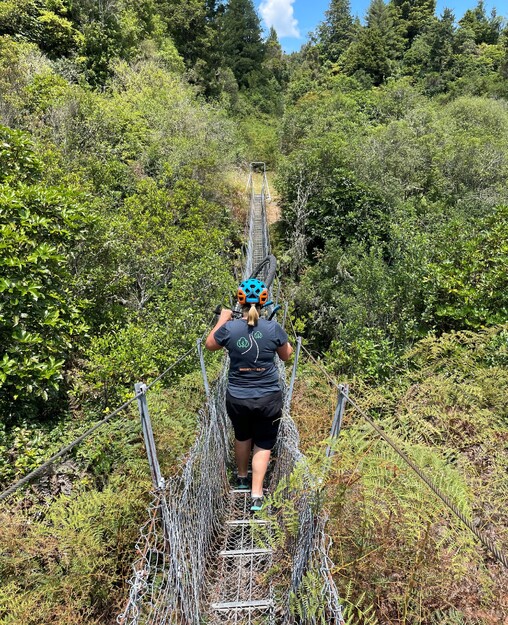 Centre of North Island | Timber Trail NZ