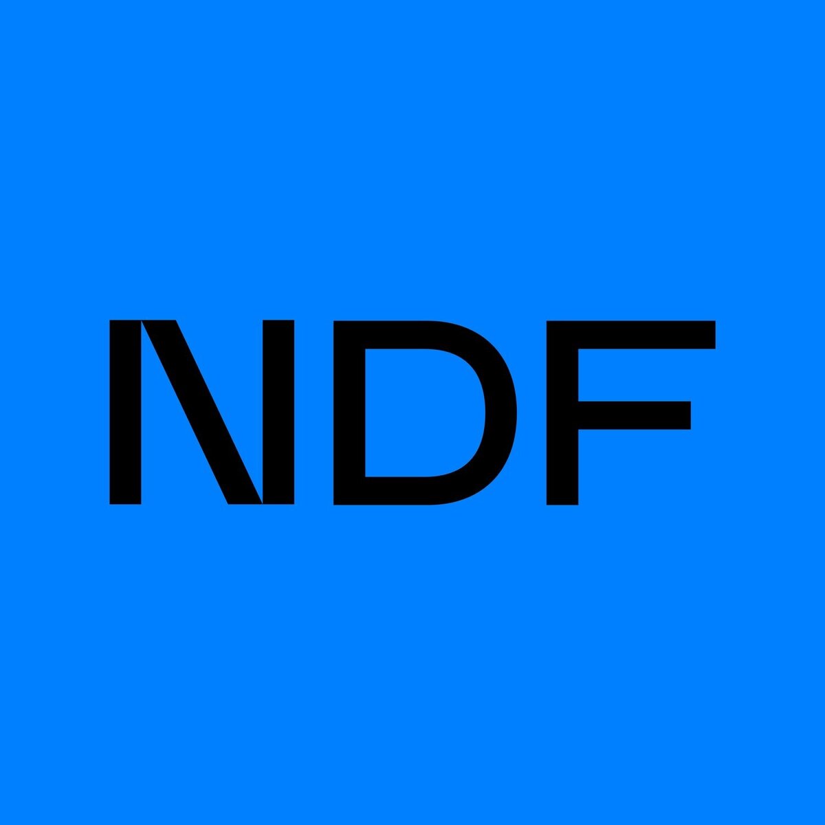 NDF Executive Digital Mentoring Program | ARANZ