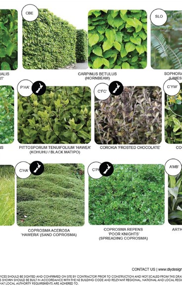 Landscape Planting Plan for Resource Consent | DIY Designs