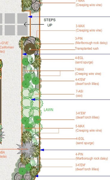 Landscape Planting Plan for Resource Consent | DIY Designs
