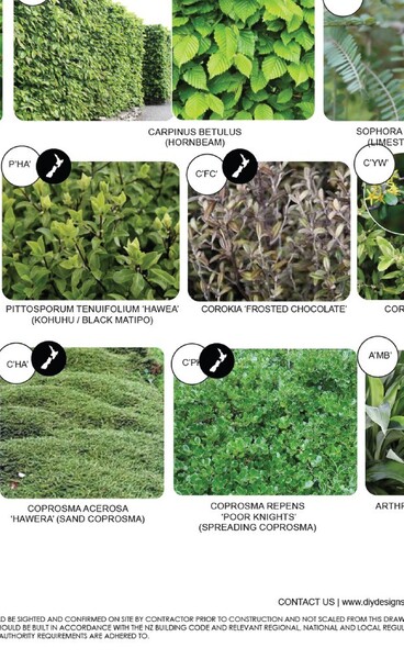 Garden Master Plan | Landscape Design Concept | DIY Designs