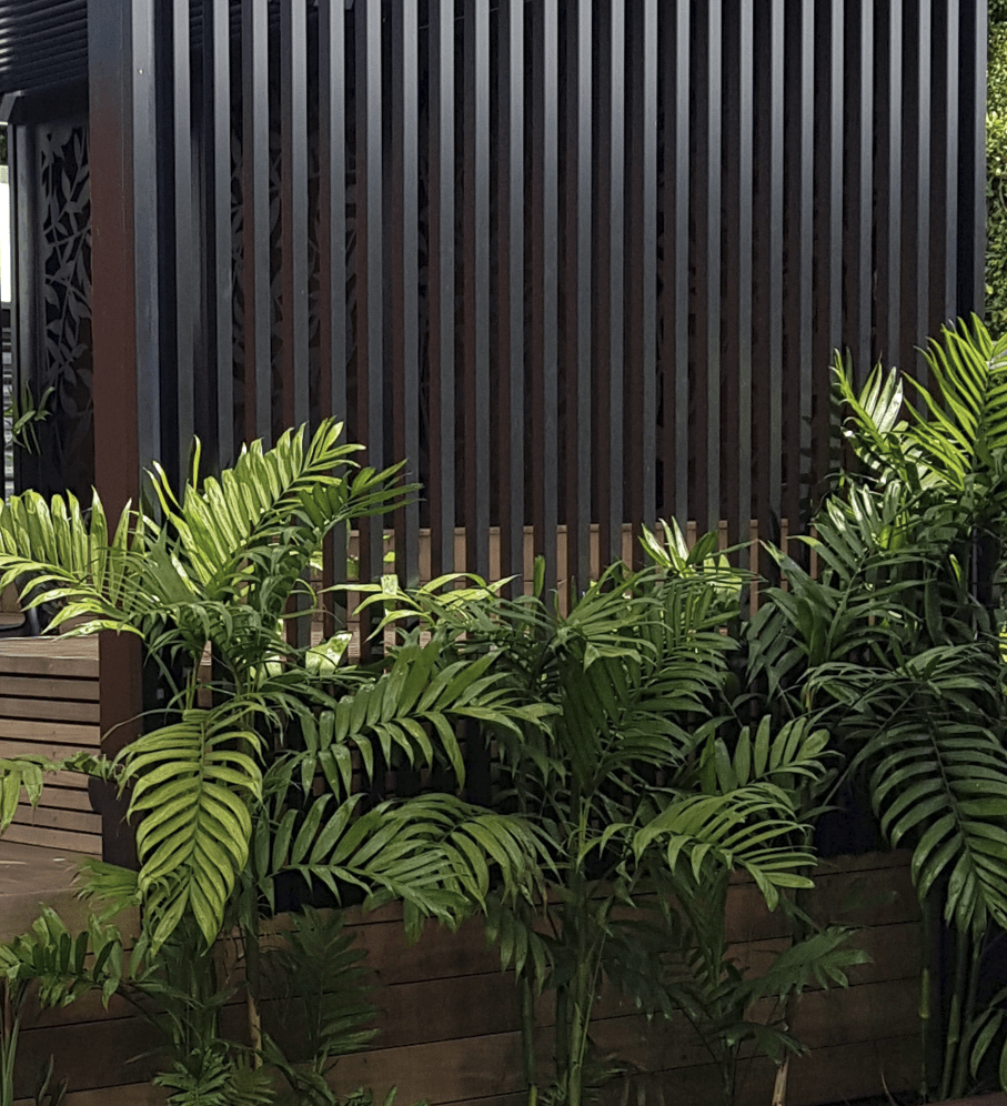 Landscape Design NZ-Garden Designers | DIY Designs