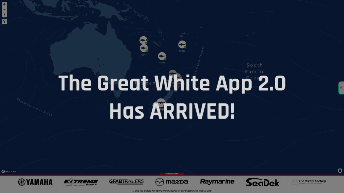 Introducing The Great White App 2.0: New and Improved Shark Tracking ...