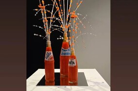 Sheree Foster Artist - Contemporary 3D and Botanical Art