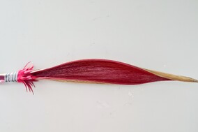 Sheree Foster Artist - Contemporary 3D and Botanical Art