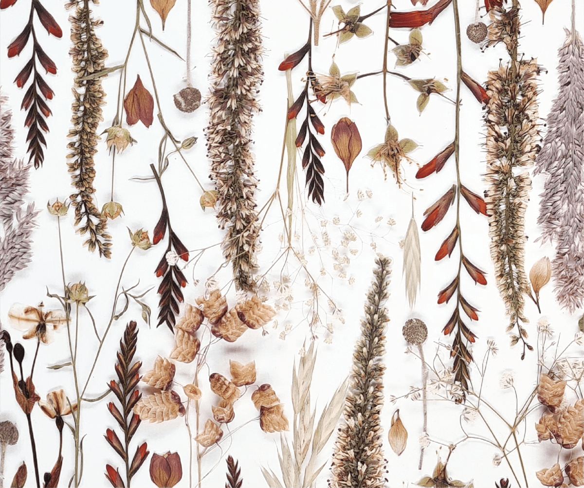 Gallery of work | Sheree Foster