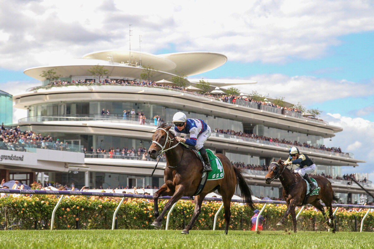 New Zealand Thoroughbred Marketing | NZTM