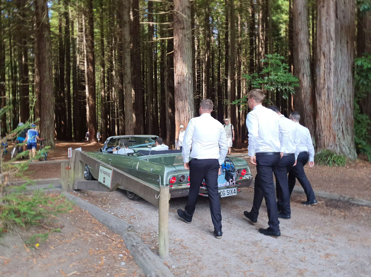 Rotorua Redwood Forest Wedding | Event Impressions