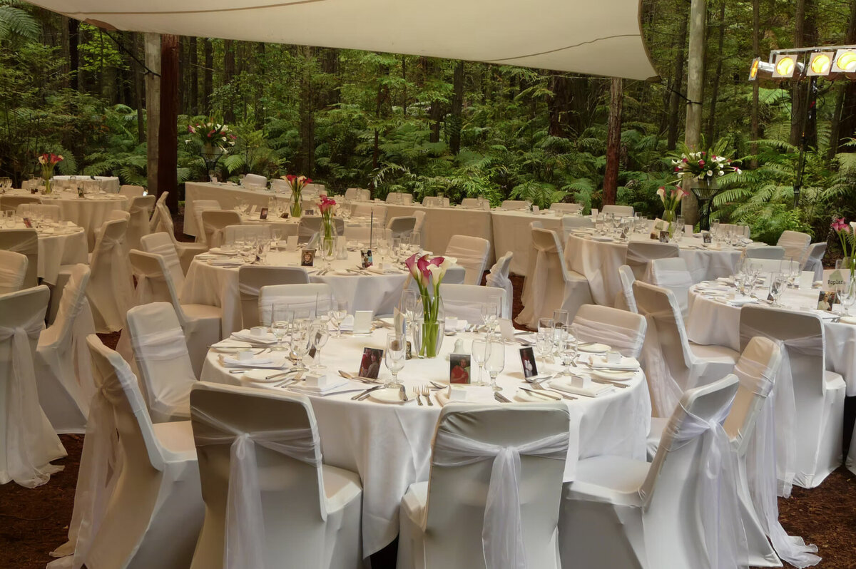 Rotorua Redwood Forest Wedding | Event Impressions