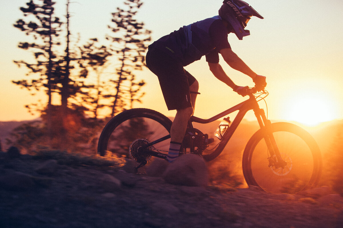 Bright Bike Hire, Victoria | Bike Hire and Repair | Cyclepath