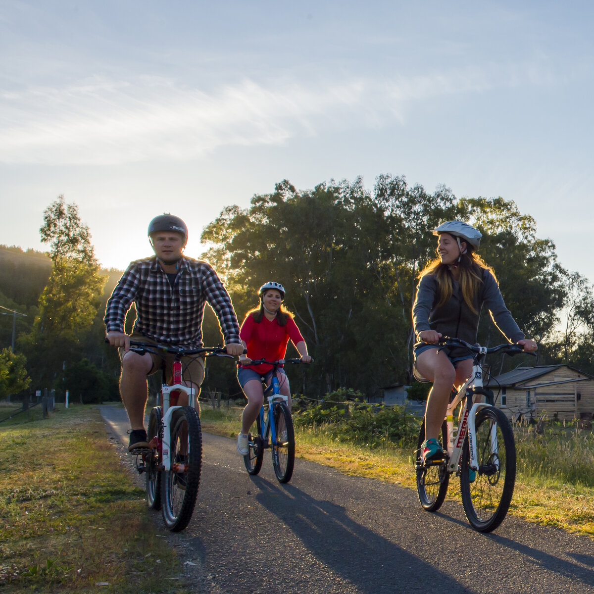 Bright Bike Hire, Victoria | Bike Hire and Repair | Cyclepath