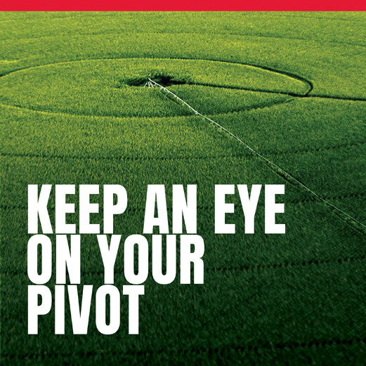 Bay Irrigation - Strength To Grow On | Home