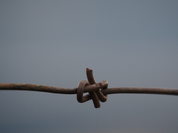MUSTER Photography | Rural and high country muster photos