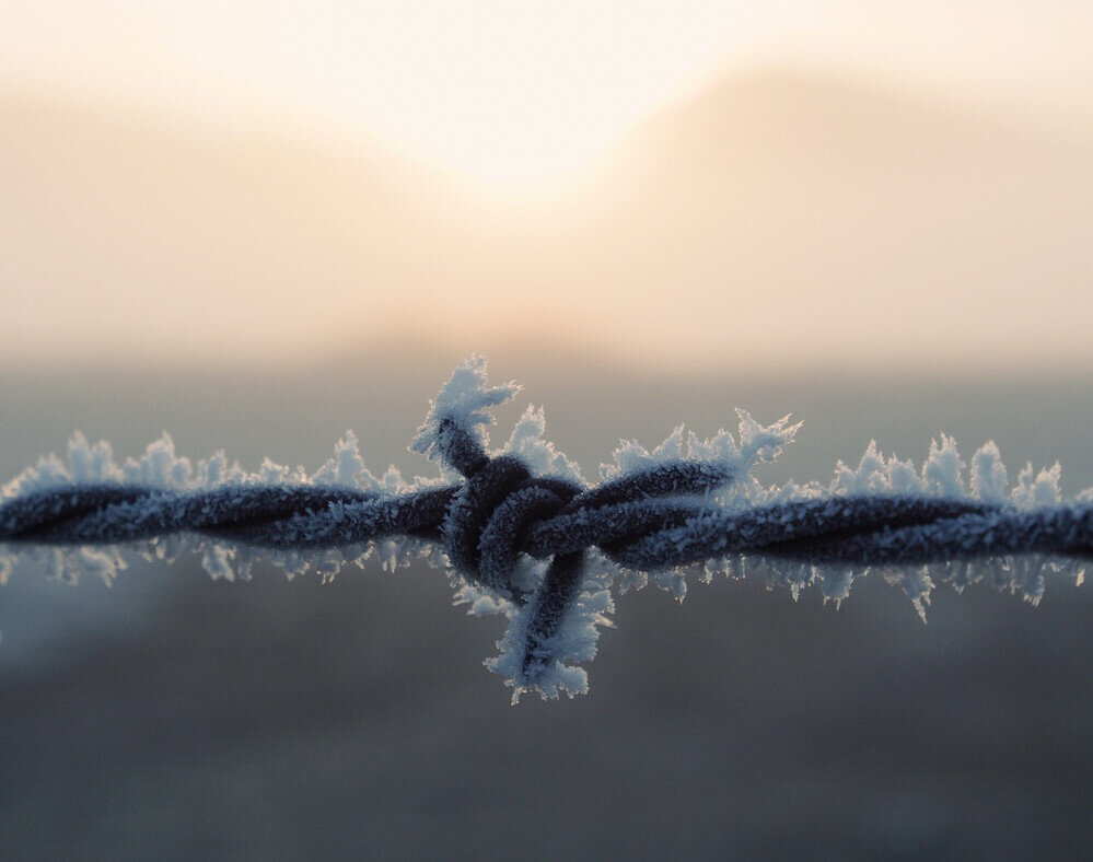 MUSTER Photography | Rural and high country muster photos