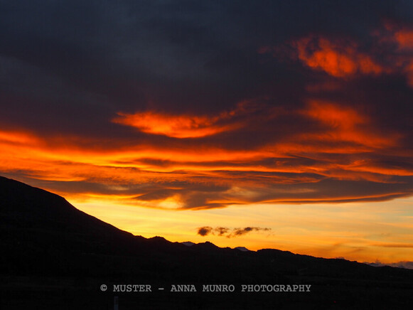MUSTER Photography | Rural and high country muster photos
