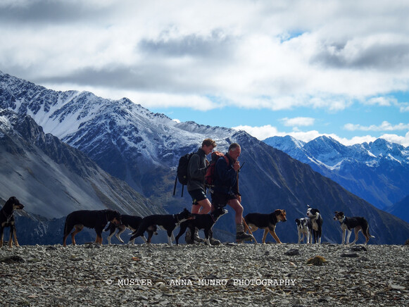 MUSTER Photography | Rural and high country muster photos