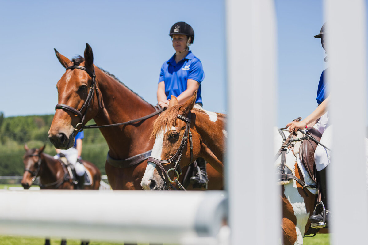 Equifest | Equine world will still get their festival