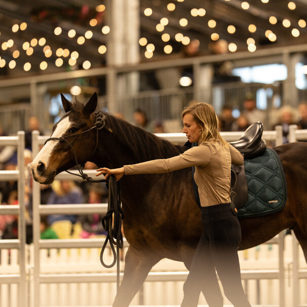 Equifest | A Premier Equine Event in Taupō