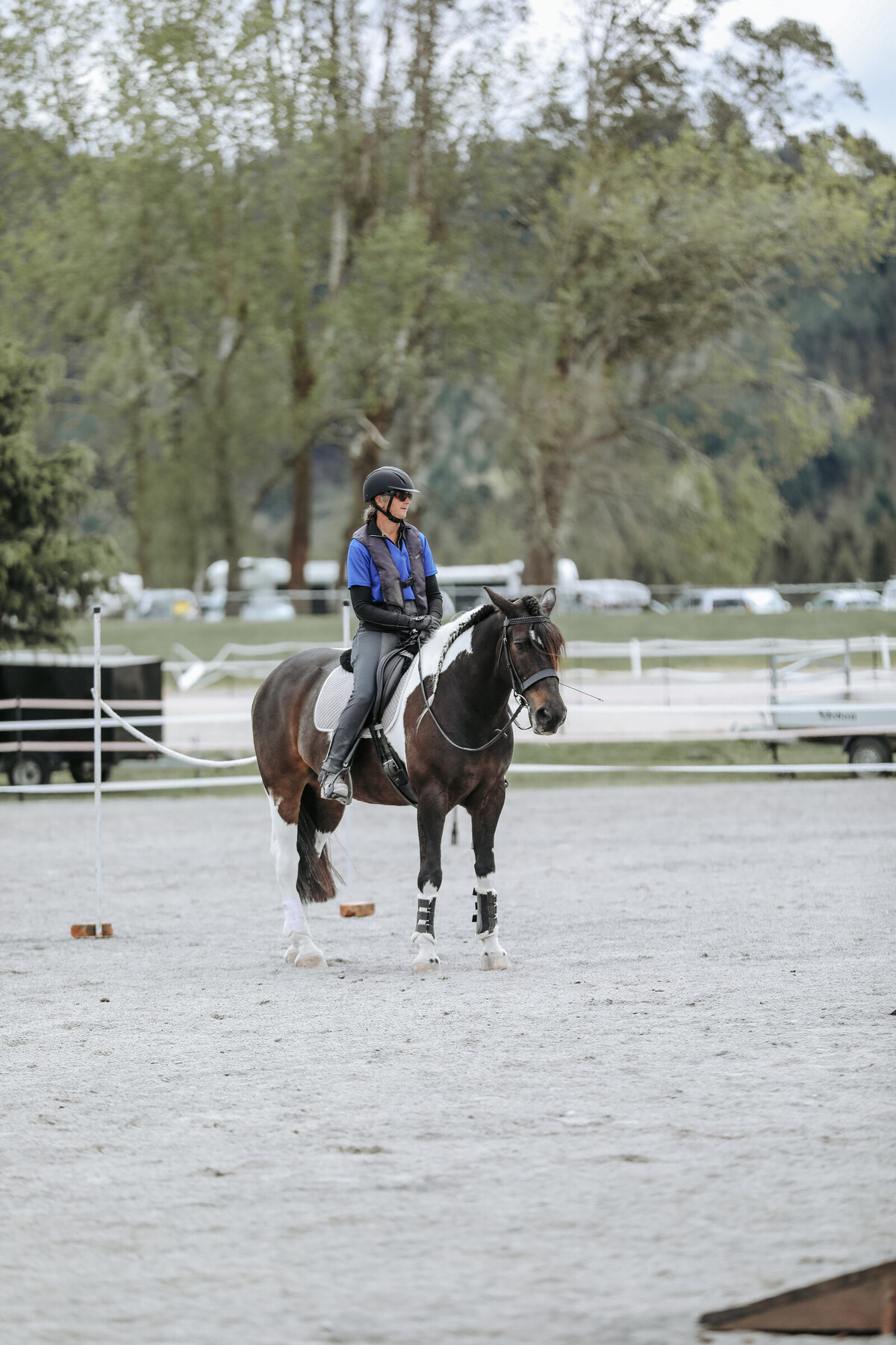 Equifest | Demonstrations
