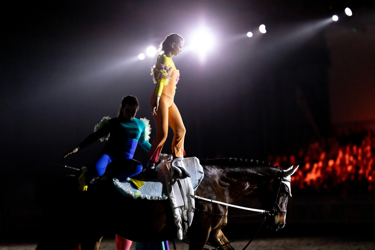 Equifest | Demonstrations