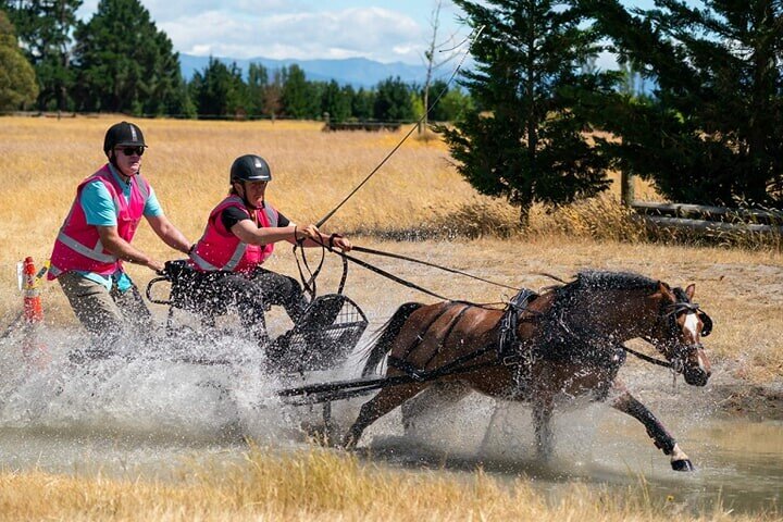 Equifest | Demonstrations