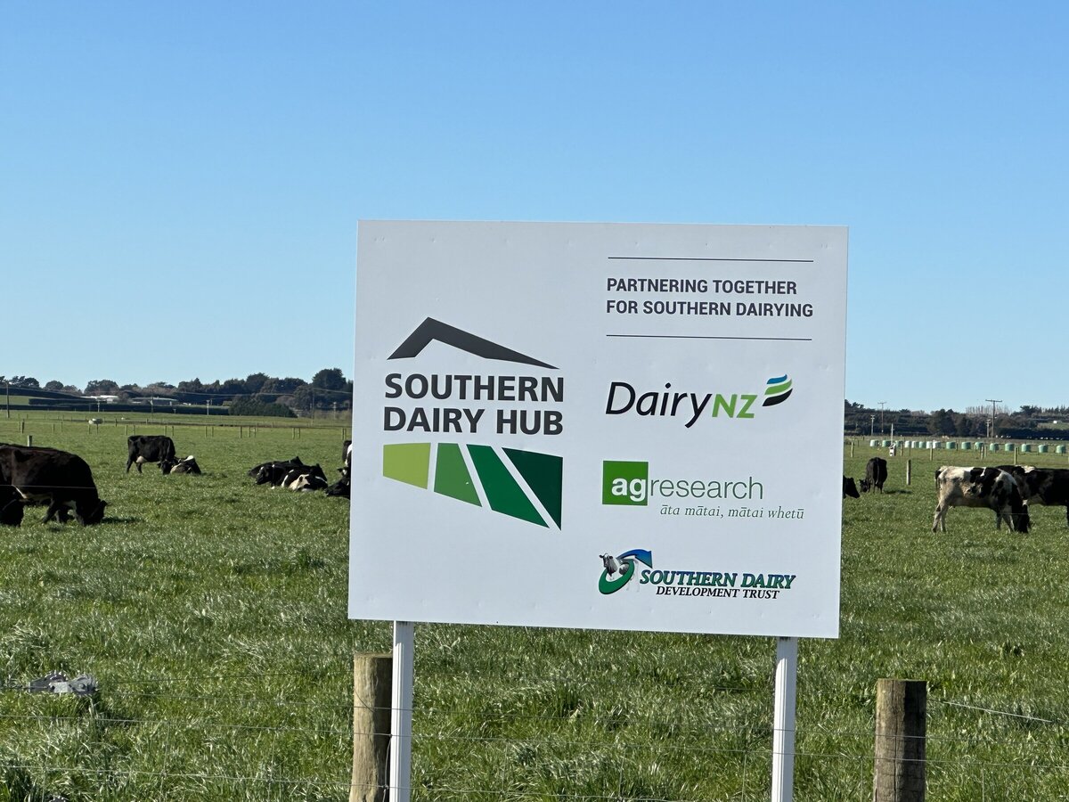 Summer Newsletter | Southern Dairy Hub