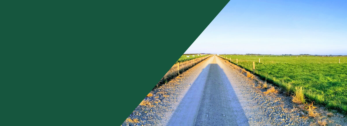 Next Farm System Trial: Off Paddock Infrastructure | Southern Dairy Hub