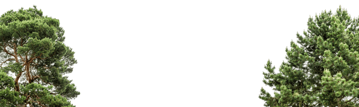 Contact us | Total Tree Care