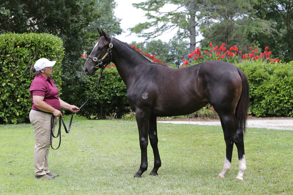 Richardson Racing Stables | Graham Richardson |Training excellence