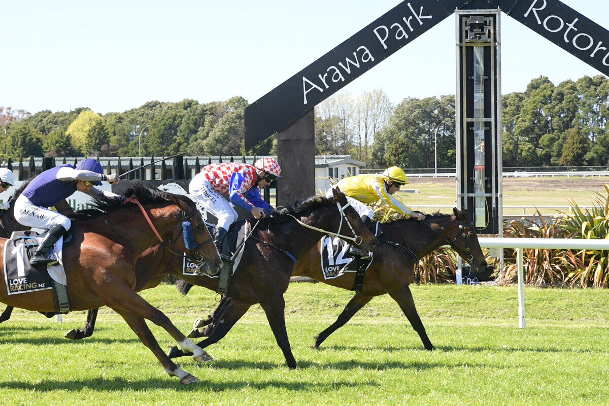 Richardson Racing Stables | Gallery