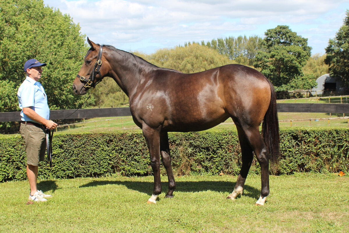 Richardson Racing Stables | Graham Richardson |Training excellence