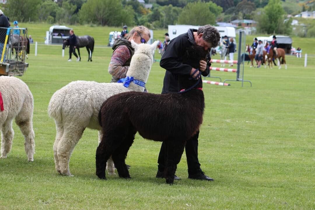 We are here to help! | Bruce Farm Alpacas