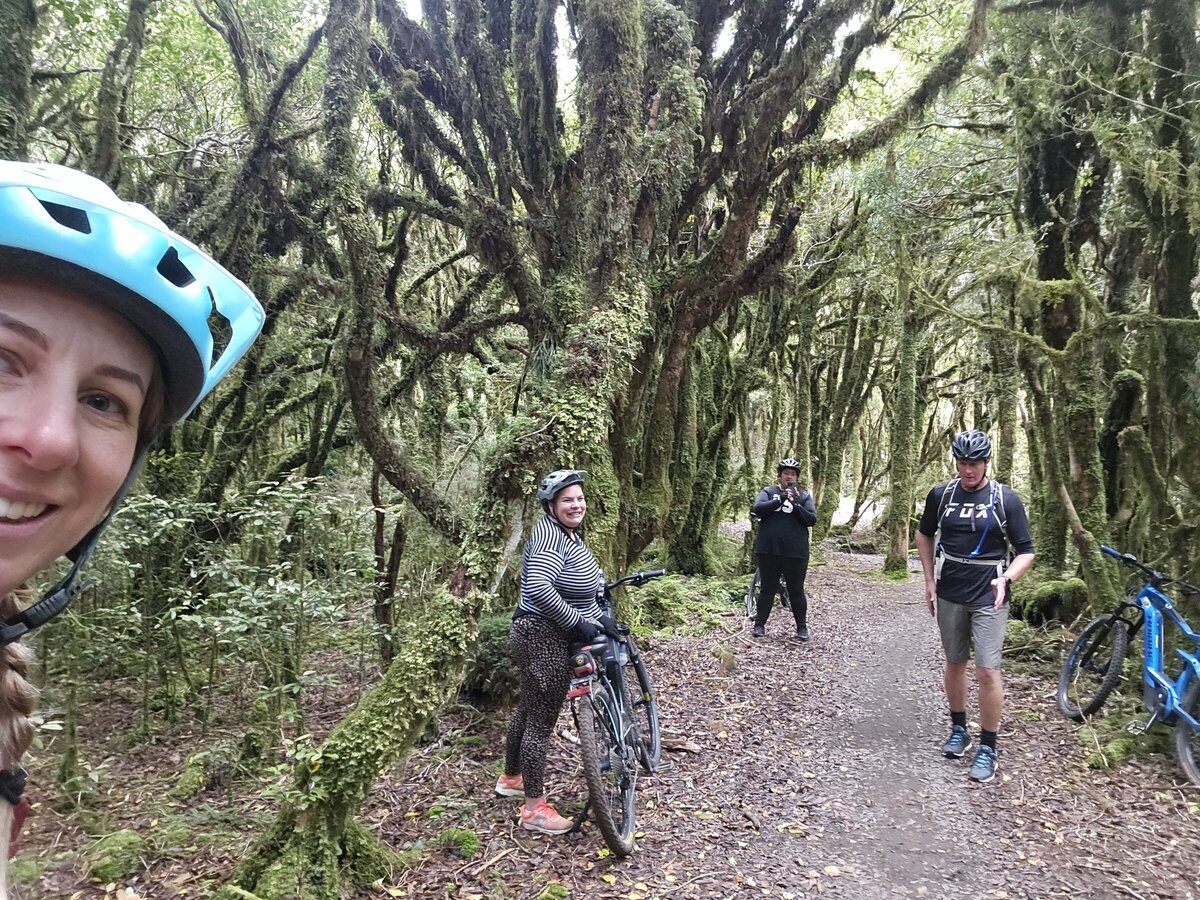 Timber Trail Triumph - Friendship, Fun and Forests | Riverside Adventures Waikato