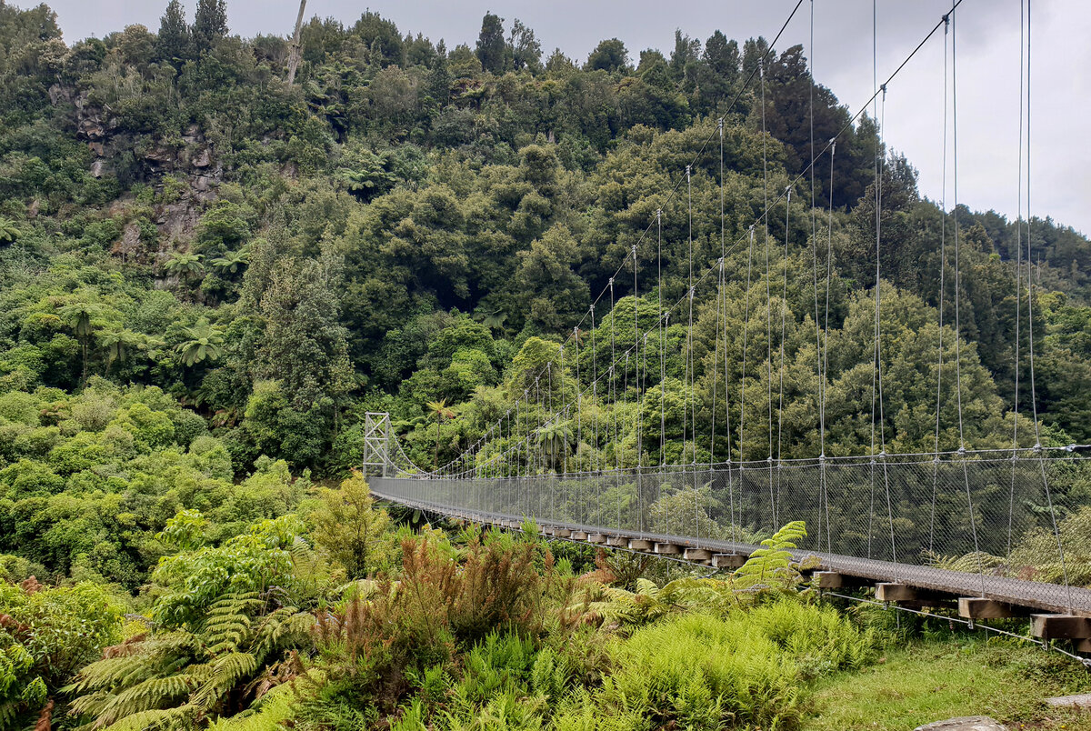 Book your tour adventure | Riverside Adventures Waikato