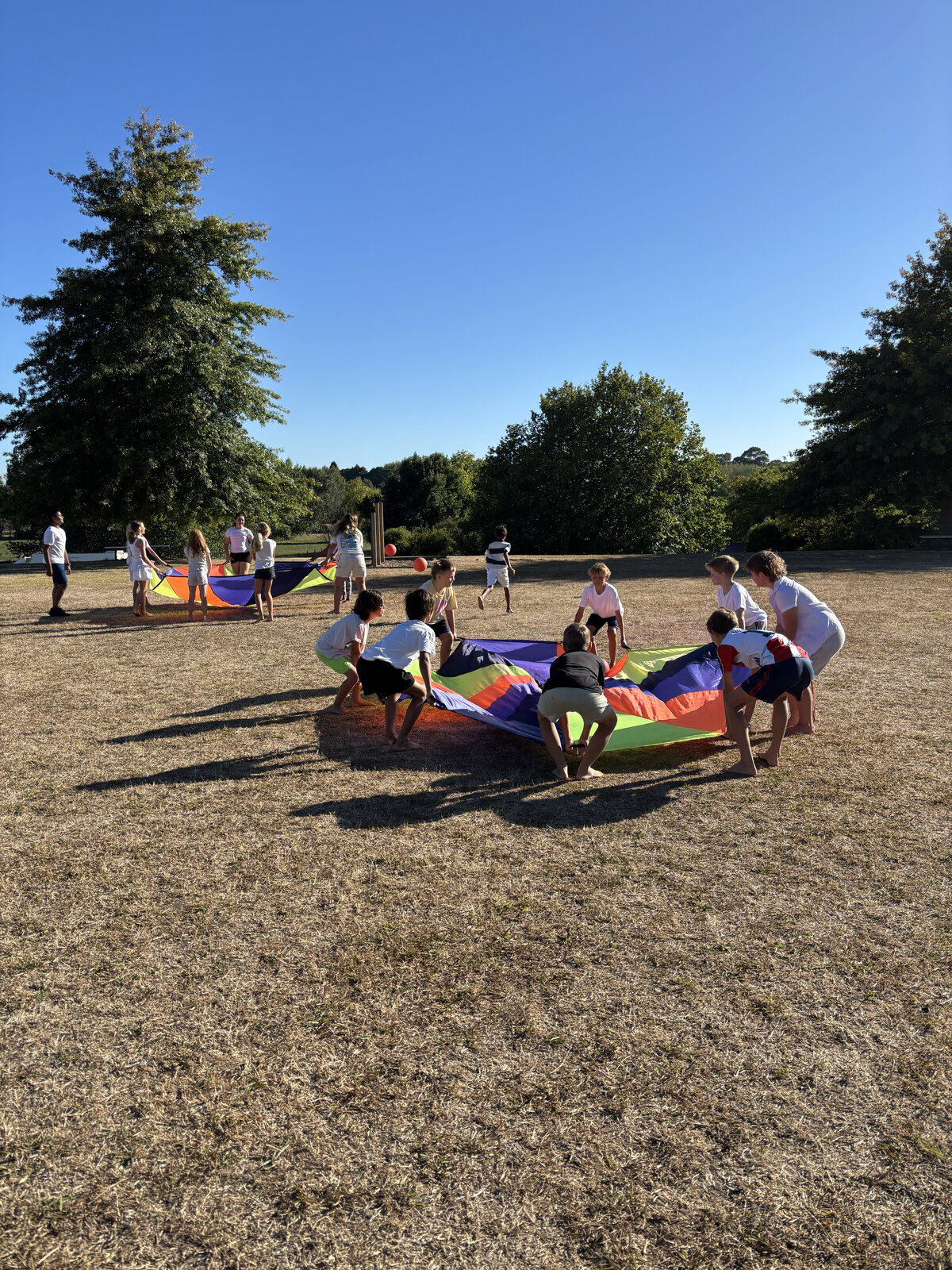 Home [www.rotokauri.school.nz]