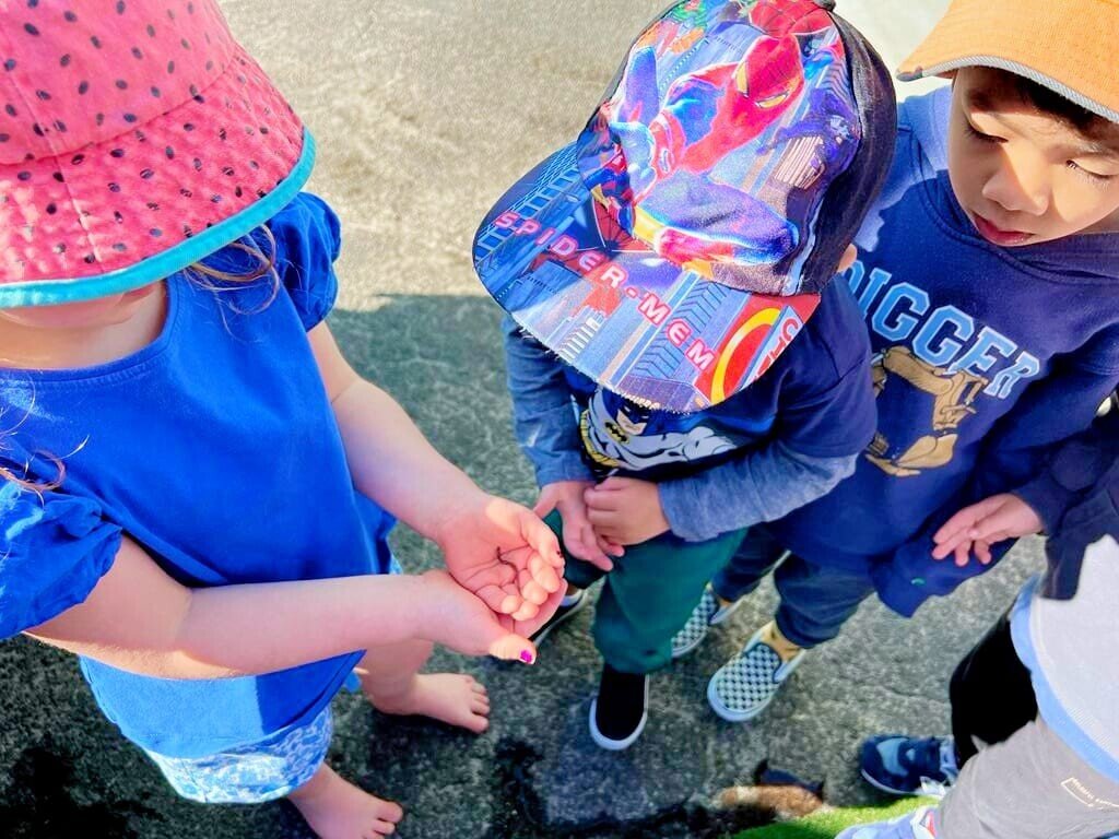 Philosophy Goals and Vision | The Learning Ladder