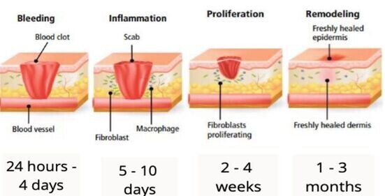 PATHOPHYSIOLOGY OF SCAR TISSUE AND OSTEOPATHIC MANUAL TREATMENT