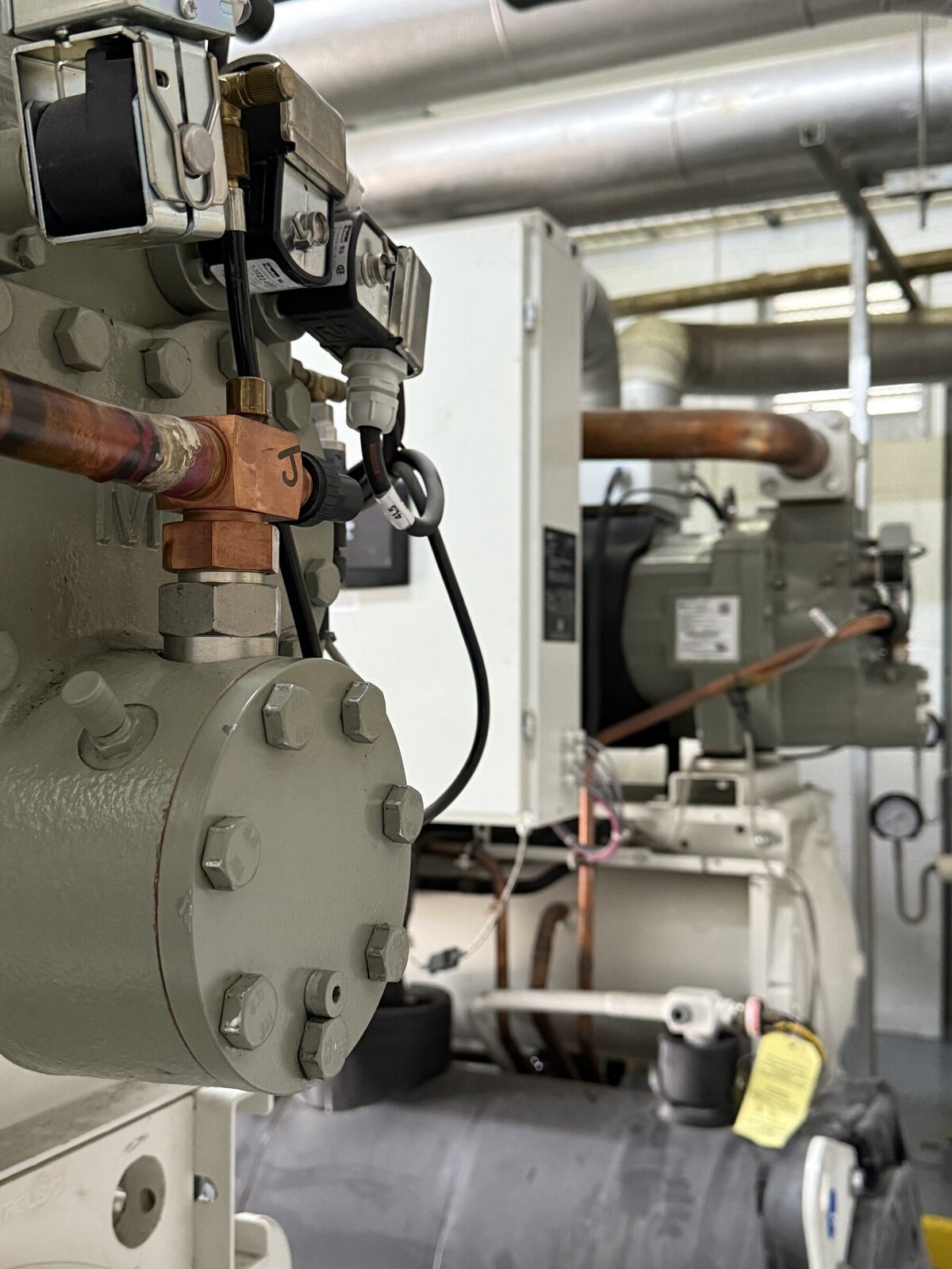 Ice Tech serves clients In NZ, Australia & Pacific Islands.