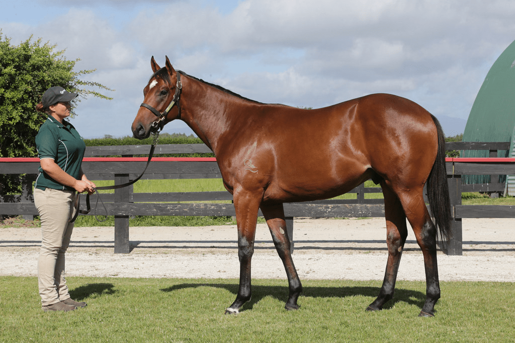 CURRAGHMORE | Failure isn’t an option for gun Pike colt