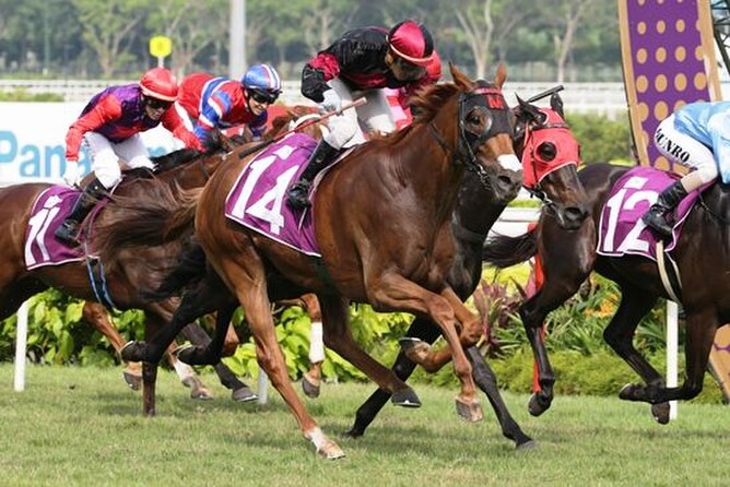 CURRAGHMORE | Secret Win gives Daniel Meagher his first feature race at ...