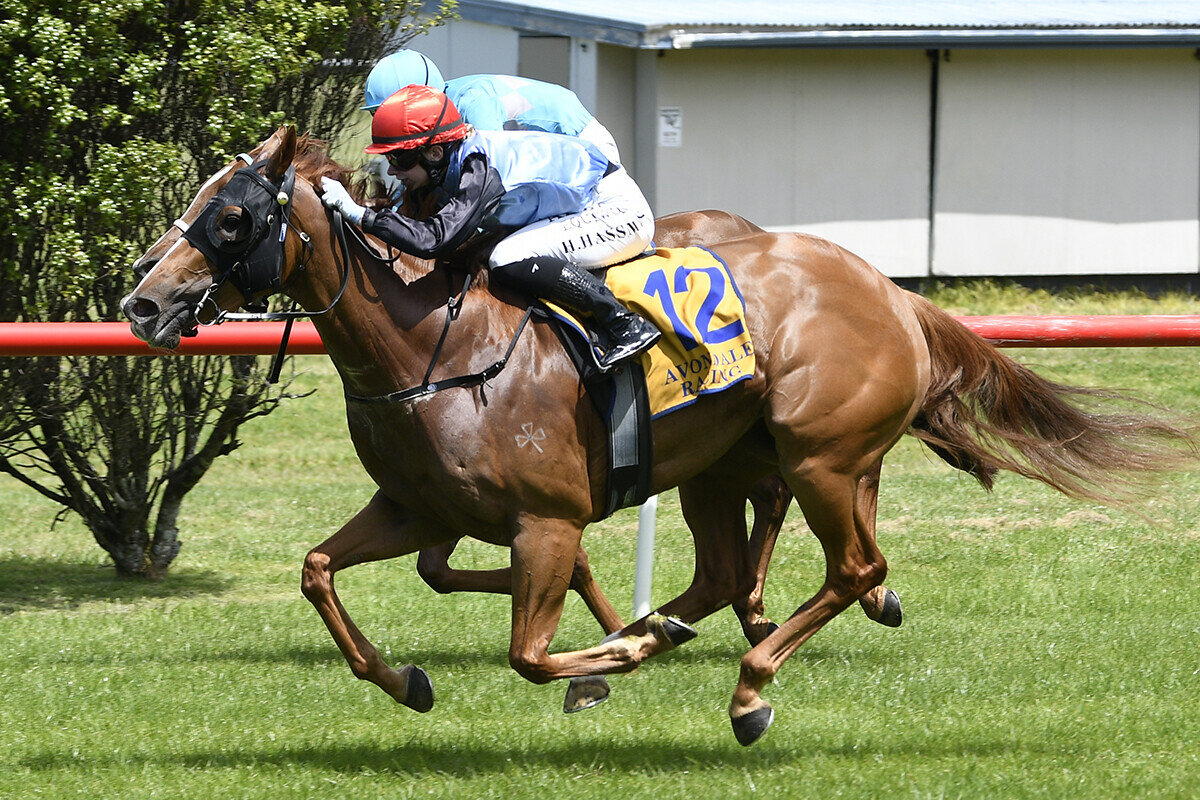Patience a virtue with promising mare | Ballymore Racing